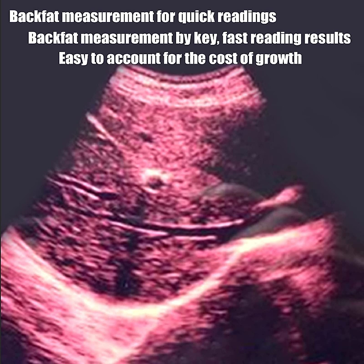 Veterinary B-Ultrasound Scanner Ultrasound Scanner for Pregnancy 6.5 MHz Rectal Probe, for Volume Heart Rate Measurement with 32G TF Card, 8 Color Panels, B/BB/4B Mode for Cattle, Horse, Camel Snake