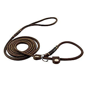 Real Leather Slip Dog Leash for Small Medium Dogs Puppies Lightweight Thin but Sturdy Adjustable Slip Lead Dog Leash Soft and Slim 5 ft x 1/5 inch (Small(5 ft x 1/5 inch))