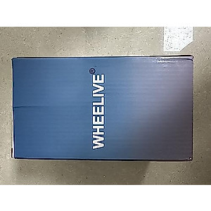 Wheelive Insulated Yogurt Container with Lid, Leak Proof Stainless Steel Parfait Cups with Lids and Reusable Plastic Spoon, 17oz Overnight Oats Containers with Lid On the Go, Dishwasher Freezer Safe