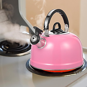 MAGICLULU Buzzing Kettle Heating Pot Whistling Teapot Whistling Water Kettle Teapot for Stovetop Mini Tea Kettle Tea Kettle Top Chinese Teapot Sound Pot Spherical Stainless Steel 7.9 x 7.3Inch