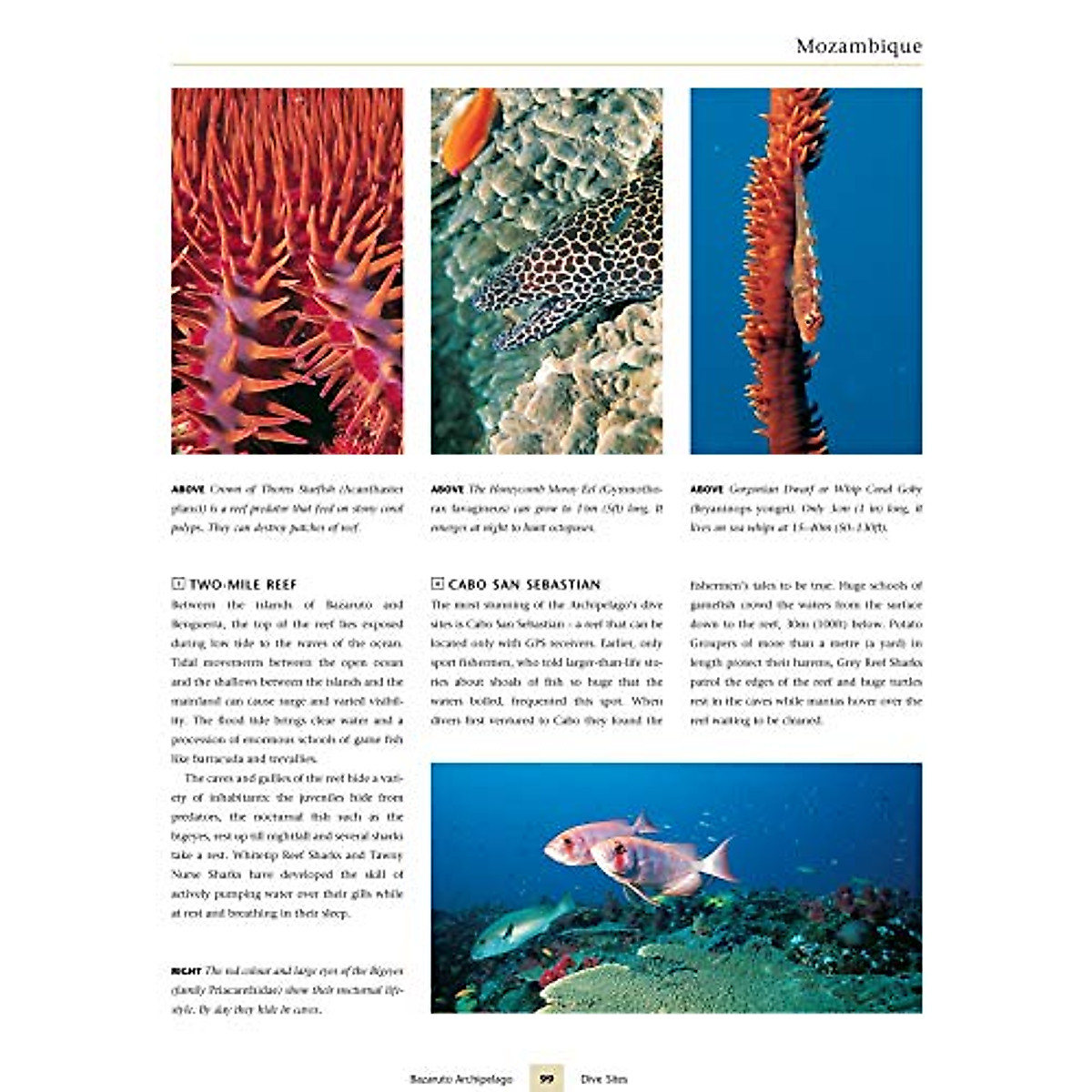 Dive Atlas of the World: An Illustrated Reference to the Best Sites (IMM Lifestyle Books) A Global Tour of Wrecks, Walls, Caves, and Blue Holes from Lawson Reef to the Red Sea to the Great Barrier