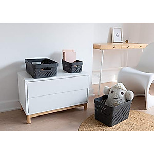 Curver Infinity Set of 4 Baskets with Recycled Lid (2 Units Size M 11L and 2 Units Size L 17L), Grey