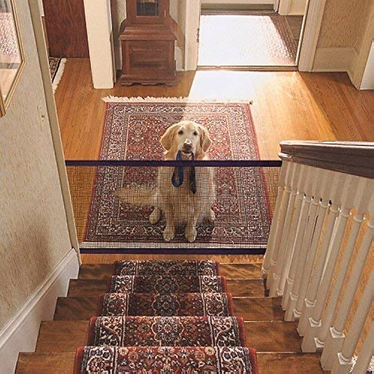 70 inch Net for Dogs Pet Safety Gate, Portable Folding Mesh Magic Corridor Barrier, Safe Guard Install Anywhere, Safety Fence for Hall Doorway Kitchen Stairs Extra Wide