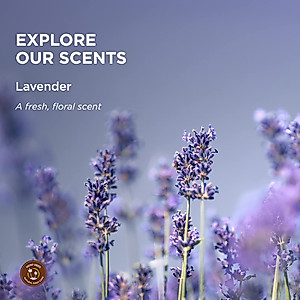 Earthly Body Body Mist, Lavender, 8 Ounce