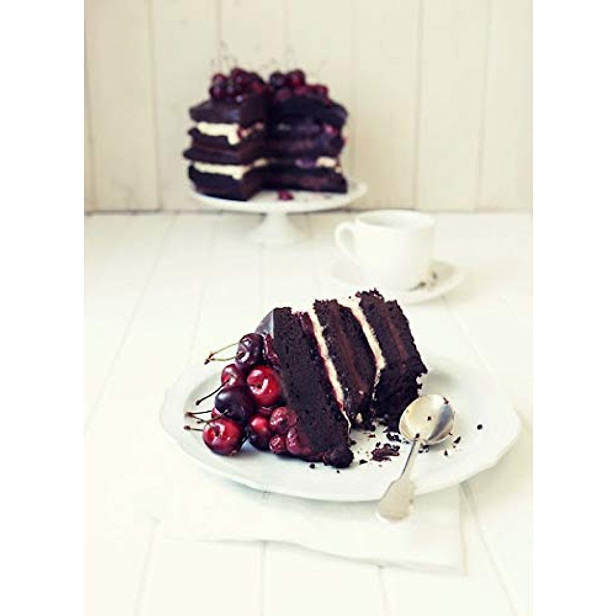 Blendtec Stealth 885 Countertop Blender, FS Jar/WS+ Jar/Sound Enclosure, Black