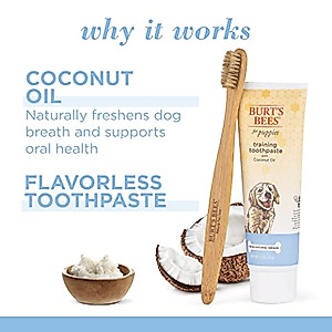 Burt's Bees Natural Oral Care Kit for Puppies, Flavorless, 2.5 oz Tube and Bamboo Brush| Puppy Training Toothbrush and Toothpaste with Coconut Oil (2.5 oz)