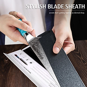 diamosteel Professional Japanese Chef Knife 8", Ultra Sharp Damascus Steel Knife with Blue Resin Handle, Gyuto Chef Knife for Meat & Vegetable Cutting