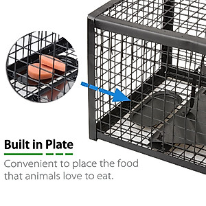 Anyhall 2-Pack Rat Traps Humane Live Mouse Vole Chipmunk Trap Cage for Indoors and Outdoors (Black)