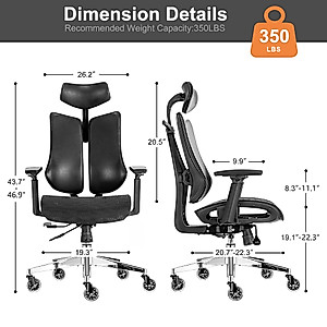 BV Ergonomic Dual Backrests Office Chair, Lumbar Support Office Desk Chair Back Support, Breathable mesh Office Chair 3D Adjustable Armrest(5008 Black)