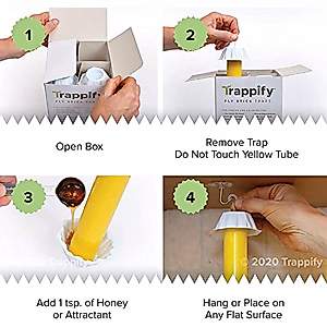 Trappify Hanging Fly Traps Outdoor: Fruit Fly Traps for Indoors | Fly Catcher, Gnat, Mosquito, & Flying Insect Catchers for Inside Home - Disposable Sticky Fly Trap for Indoor House Pest Control (2)