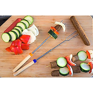 TooglBox - 4 Piece 32 Inch Marshmallow Roasting Stick - Telescoping Stainless Steel Cookware Set-Forks for Smores & Hot Dogs - Bonus 20 Bamboo skewers, Bag (4)