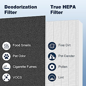 C545 True HEPA Replacement Filter S for Winix C545 Air Purifier, Replace Part 1712-0096-00 and 2522-0058-00, 2 True HEPA Filter S and 8 Activated Carbon Pre-Filters by PETOX