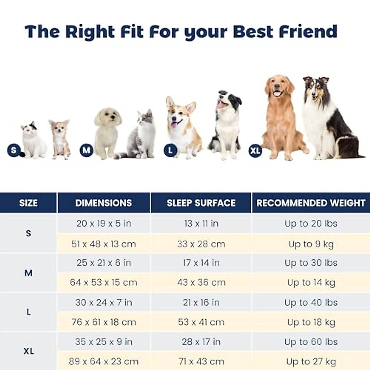 Miguel Dog Bed with Removable Cushion/Pillow for Medium Small Dogs, Washable Pet Bed with Side Easy to Wash Puppy Bed, Large Rectangle Cat Bed for Indoor Cat with Anti-Slip Bottom, Blue 25 Inch