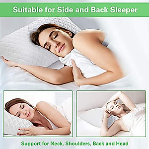 ASHOMELI Pillows Standard 2 Pack Shredded Memory Foam Pillows Cooling Adjustablefor Sleeping Good for Side and Back Sleeper with Washable Removable Bamboo Cover