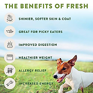 Freshpet Healthy & Natural Food for Small Dogs/Breeds, Fresh Grain Free Chicken Recipe, 1lb