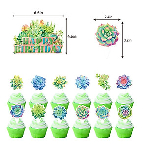 Succulent Plants Birthday Party Decorations Succulent Plants Party Supplies Includes Birthday Banner Cake Cupcake Toppers Hanging Swirls Balloons for Succulent Plant Birthday Baby Bridal Shower Decor