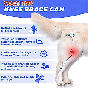 Dog Knee Brace for Torn ACL Hind Legs, Anti-slip Dog Leg Braces for Back Legs with Comfort Vest, Strong Support Dog ACL Hip Brace with 2 Metal Strips and Adjustable Belt for Cruciate Ligament Injury