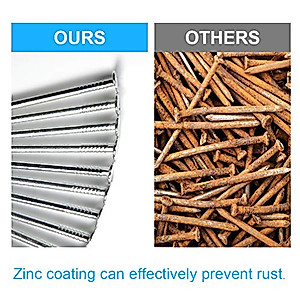 376pcs Premium Hardware Nails Assortment Kit, Maximum Length 2 Inches Galvanized Nails, Picture Hanging Nails, Wood Nails, Wall Nails with Storage Box | 6 Sizes