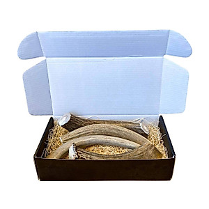 The Antler Box Premium Deer Antler Dog Chews (1 lb Bulk Pack) (Large (3 to 4 Antlers/lb))