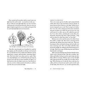 How to Read a Tree: Clues and Patterns from Bark to Leaves (Natural Navigation)
