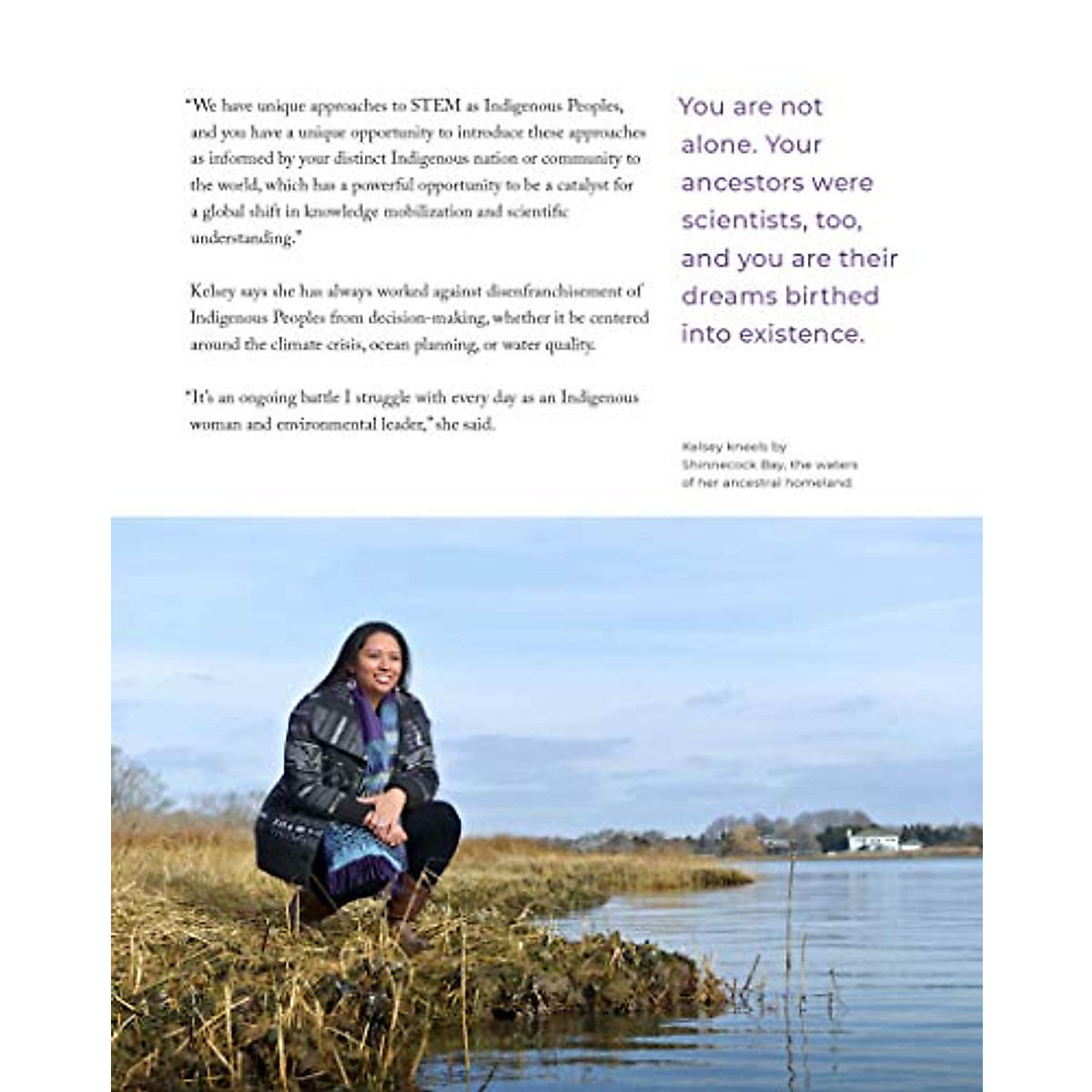 Women and GIS, Volume 2: Stars of Spatial Science (Women and GIS, 2)