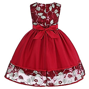 Dinosaur Toddler Dress Kids Girls Patterns Sleeveless Party Hoilday Weddings Elegant Lace Tulle Clothes (Red, 2-3 Years)