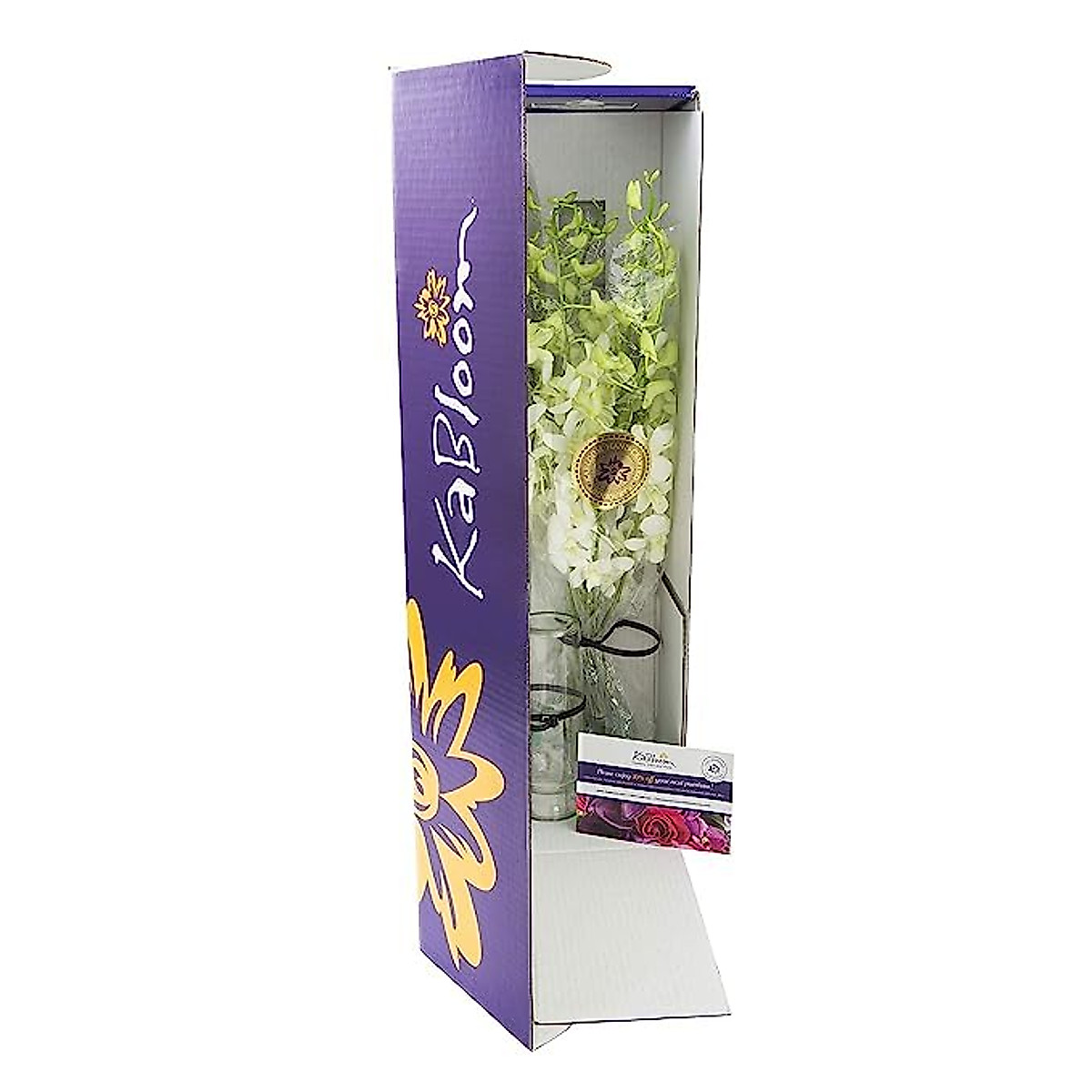 KaBloom PRIME ORVERNIGHT DELIVERY - Serenade of Hope Bouquet of 10 White Orchid With Vase.Gift for Birthday, Sympathy, Anniversary, Get Well, Thank You, Valentine, Mother’s Day Fresh Flowers