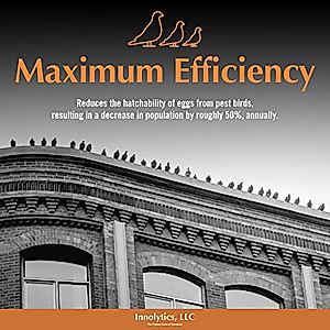 OVOCONTROL - Bird Pest Population and Birth Control Bait for Pigeons (30 lbs)