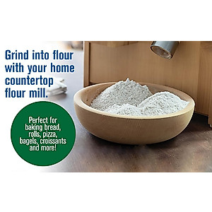 Great River Organic Milling, Whole Grain, Hard Red Spring Wheat, Organic, 25-Pounds (Pack of 1)