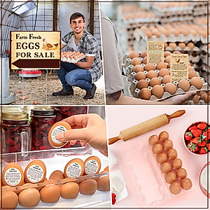 Sintuff 3 Pcs Farm Fresh Eggs for Sale Sign with Stakes 30 Pcs Plastic Egg Cartons for 12 Eggs 30 Fresh Farm Eggs Handling Instructions 30 Farm Fresh Eggs Labels Egg Handling Stickers