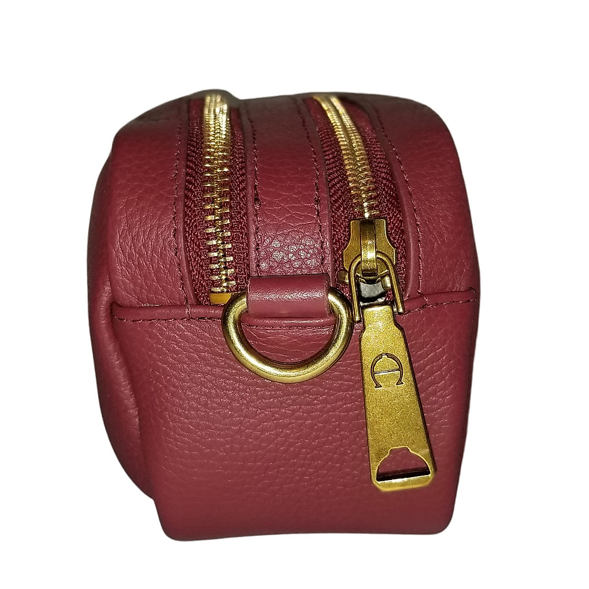 Etienne Aigner Stella Mini Leather Camera Crossbody - Antic Cordovan