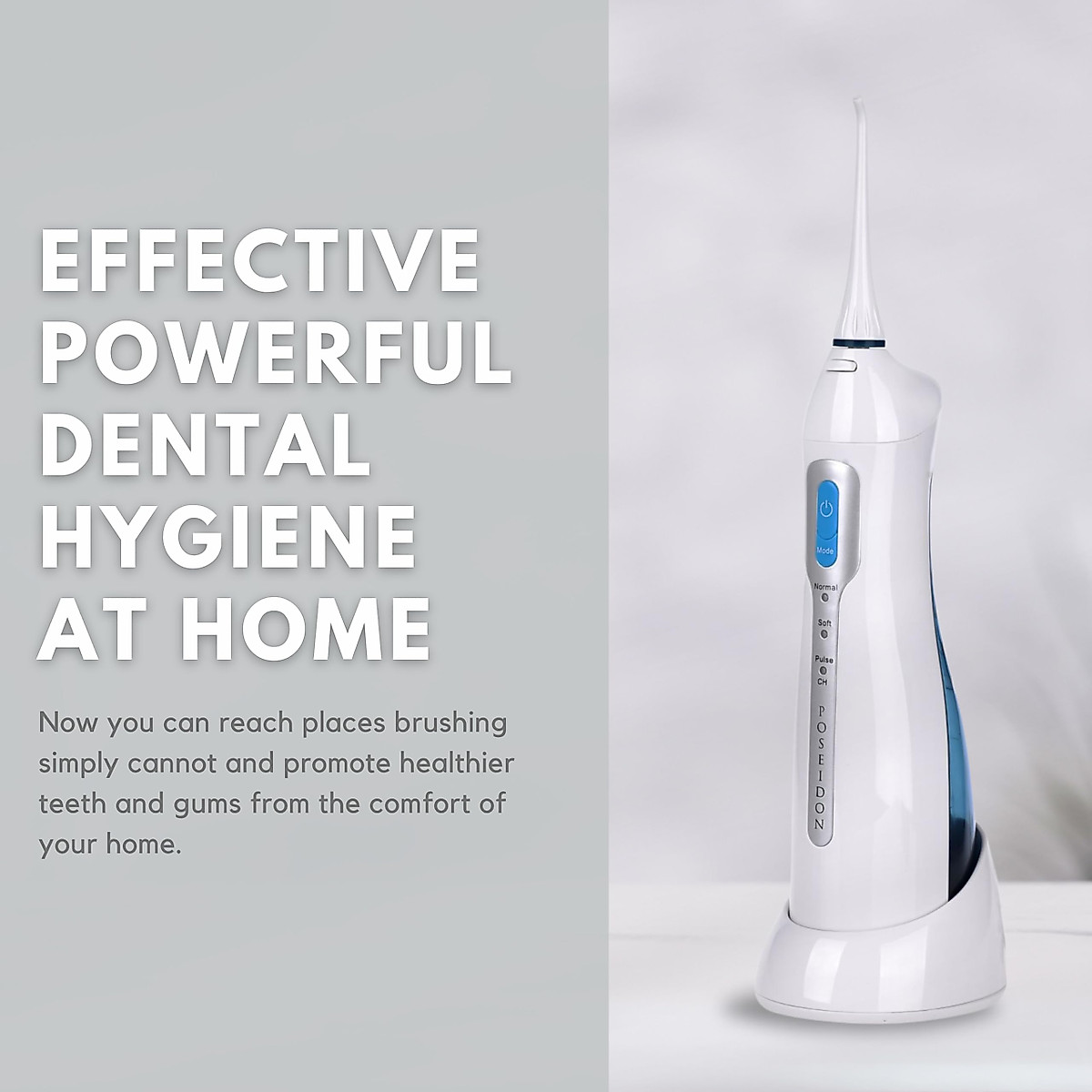 ToiletTree Products Oral Irrigator by Poseidon Portable and Cordless Water Flosser (w/Charging Cradle, White)