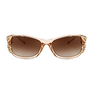 FEISEDY Trendy Polarized Y2K Sunglasses Wrap Around Butterfly Design Fashion Sunnies UV400 Protection B0078