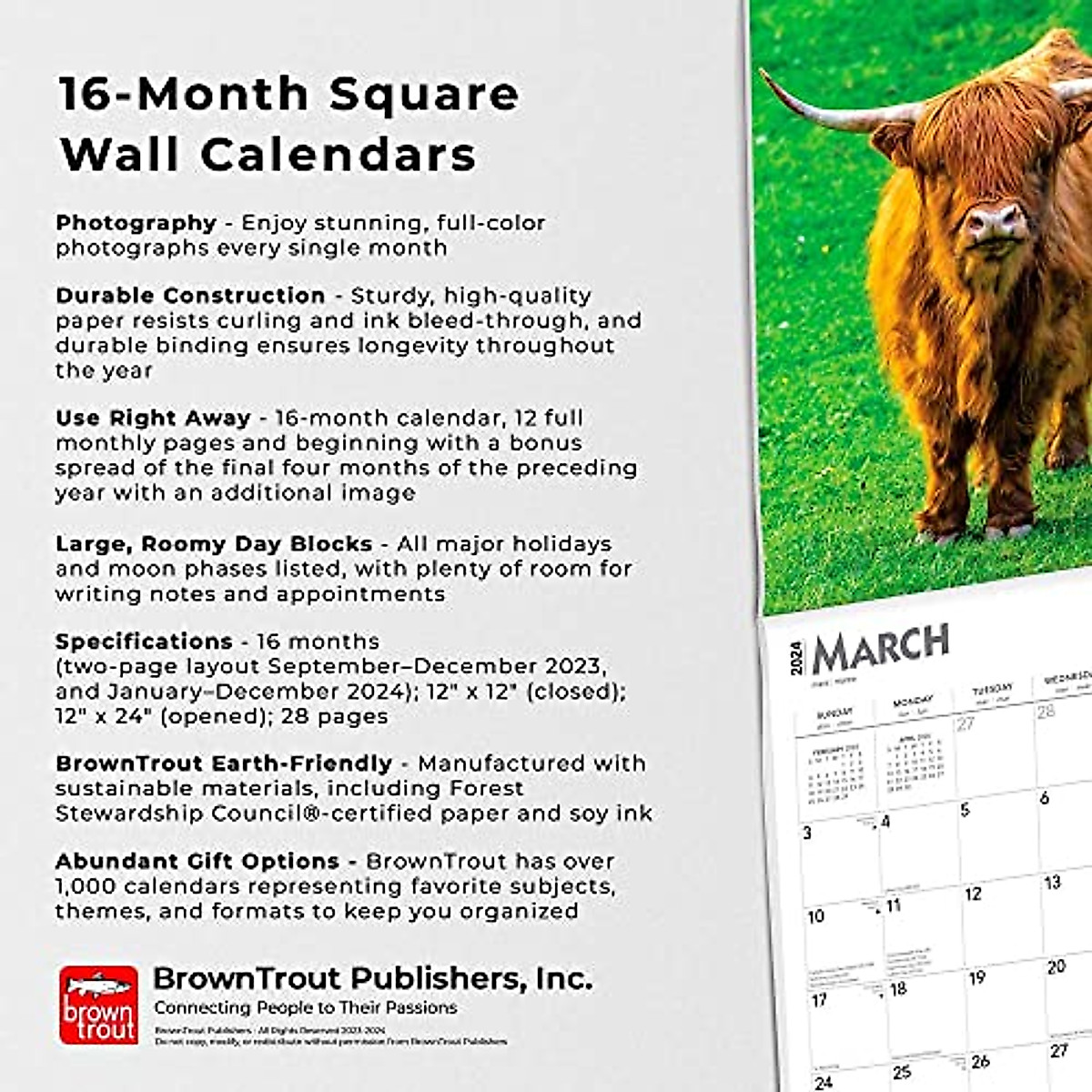 Cows | 2024 12 x 24 Inch Monthly Square Wall Calendar | BrownTrout | Domestic Farm Animals