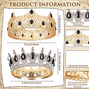 Mtlee 2 Pcs Prom King and Queen Crowns King Crowns for Men Royal Crown with Blue Rhinestone Queen Crowns for Women Halloween Wedding Birthday Graduation(Delicate Style)