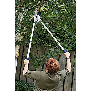 Spear & Jackson 8290RS Razorsharp Heavy Duty Telescopic Ratchet Anvil Loppers, Multicoloured