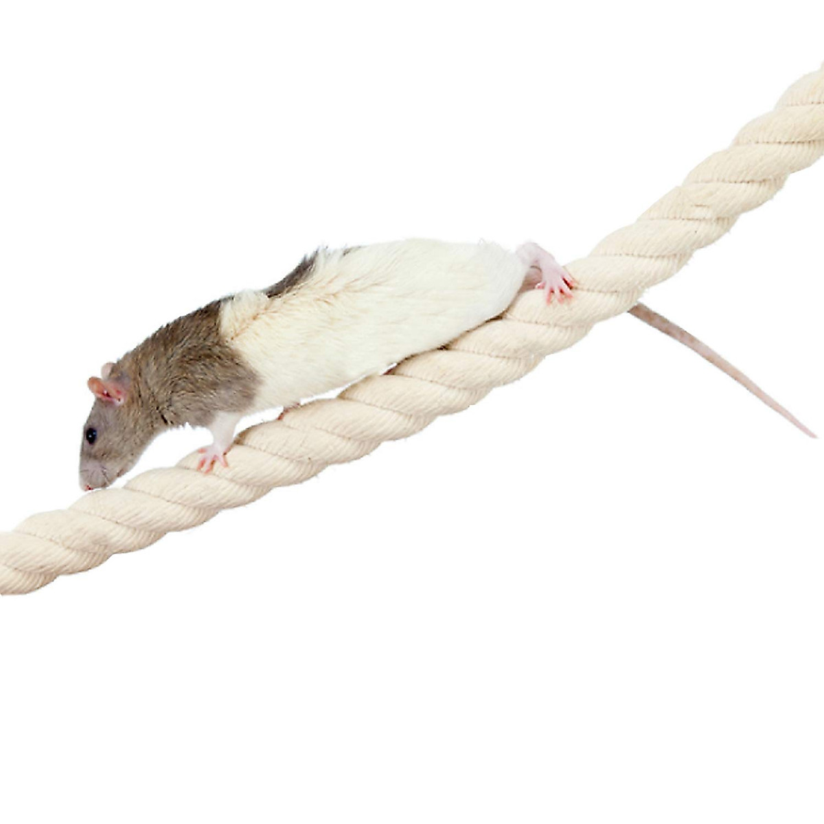 52 Inch Natural Rope (Large) - Flexible Bendable Climbing Rope Perch Cage Accessory Toy - Sugar Gliders, Squirrels, Degus, Marmosets, Monkeys, Parrots, Birds, Rats & Other Small Pets