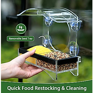 Window Bird Feeders for Outside with Strong Suction Cups Home Bird Feeder, Transparent Bird House Cat Kids and Elderly Viewing Bird Feeder for Window Perch (Polyurethane)