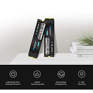 Dataram M.2 2280 256GB PCIe NVMe Gen 3.0 x4 SSD Compatible with Apple MacBook Air (2013-2017) & Pro (2013-2015), Mac Mini (2013) & Pro (2014), iMac (2013-2019)