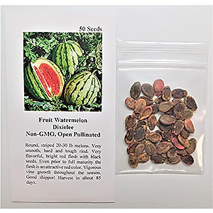 David's Garden Seeds Fruit Watermelon Dixielee (Red) 50 Non-GMO, Open Pollinated Seeds