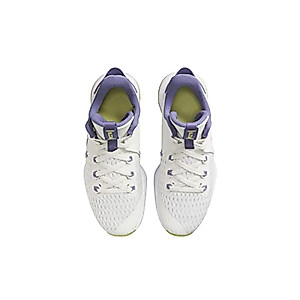 Nike Lebron Witness CQ9380-102 Mens Basketball Shoes (Summit White/MTLC Bronze)