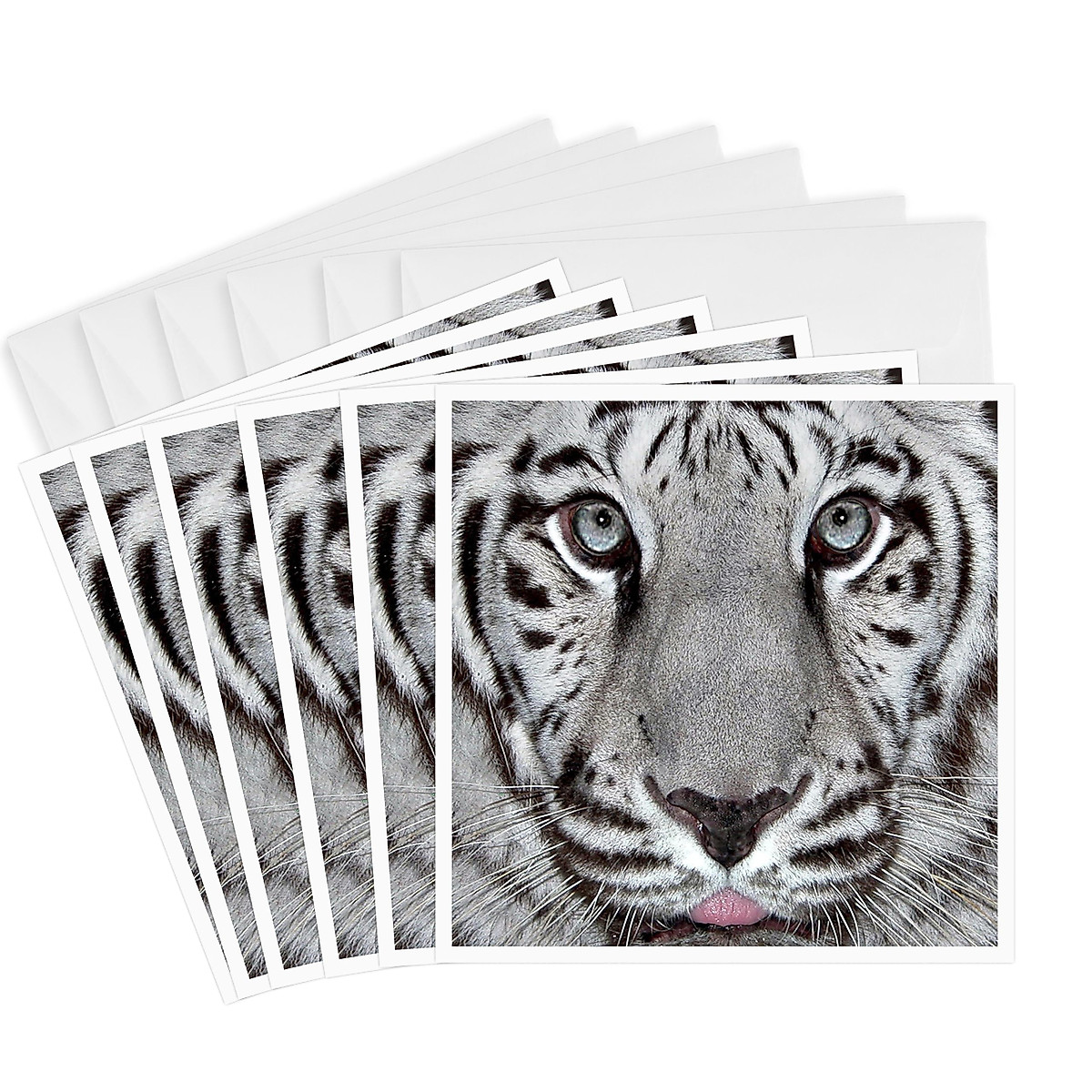 3dRose White Tiger with a Little Tonque - Greeting Cards, 6 x 6 inches, set of 6 (gc_62816_1)