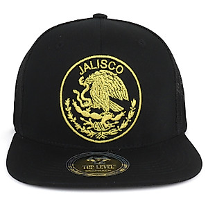 Trendy Apparel Shop City of Mexico Eagle Embroidered Flatbill Trucker Mesh Cap - JALISCO BLACK