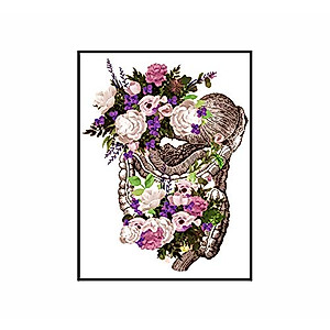 Nurse Gift for Women Wall Art Prints Decor Set of 6 Medical Anatomy Poster, Nurse Graduation, Nurse Practitioner, Physicians Assistant Gift for Doctor Office, Clinic, Med Student Dorm Halloween Christmas 8x10, Unframed