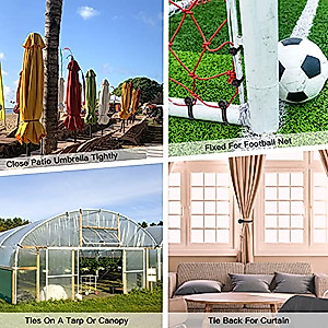 Bungee Balls 12 inch,50 pcs Tarp Bungee with Balls for Canopy, Camping Tarp, Shelter,Cargo,Tent Poles UV Resistant