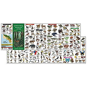 Costa Rica Wildlife Guide (Laminated Foldout Pocket Field Guide) (English and Spanish Edition)