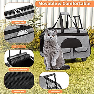Large Rolling Cat Carrier with on Wheels, Small Dog Pet Car Travel Carrier Collapsible Bag with Rollers Wheels, Carrier for Cats under to 35 LBS/ Dog Puppy under 16 LBS ( Large Size, Not for Airplane)