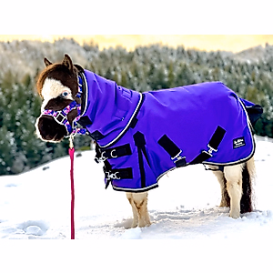 Star Point Horsemanship Mini-Pony Horse Ripstop Waterproof Windproof Blanket Hooded Lightweight Turnout Rain Sheet Breathable Lining 1200 Denier Material 220 Fill (46-48", Teal)