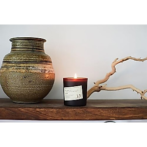 Paddywax Library Collection William Shakespeare Scented Soy Wax Candle, 6.5-Ounce, Paprus, Palm & Eucalyptus