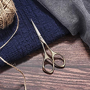 HITOPTY Small Embroidery Scissors, 3.9in Stainless Steel Sharp Craft Shears for Sewing, Art Work, Threading, Needlework Small Projects